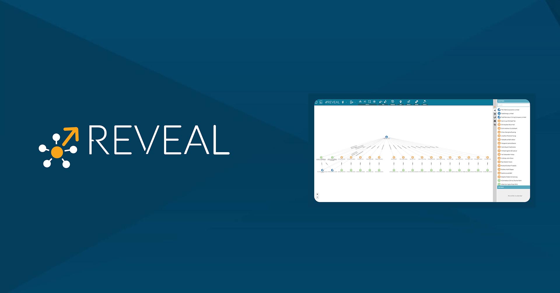 REVEAL Data Visualisation Tool | InfoTrack NZ
