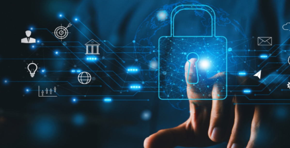 REVEAL Data Visualisation Tool | InfoTrack NZ